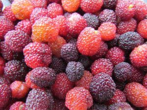 kafal fruit (500gm) ORGANIC Uttarakhand | BUY ONLINE