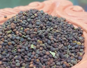 Pahari Black Jakhiya Seeds (250 gm) - BUY UTTARAKHAND FOOD PRODUCTS ...